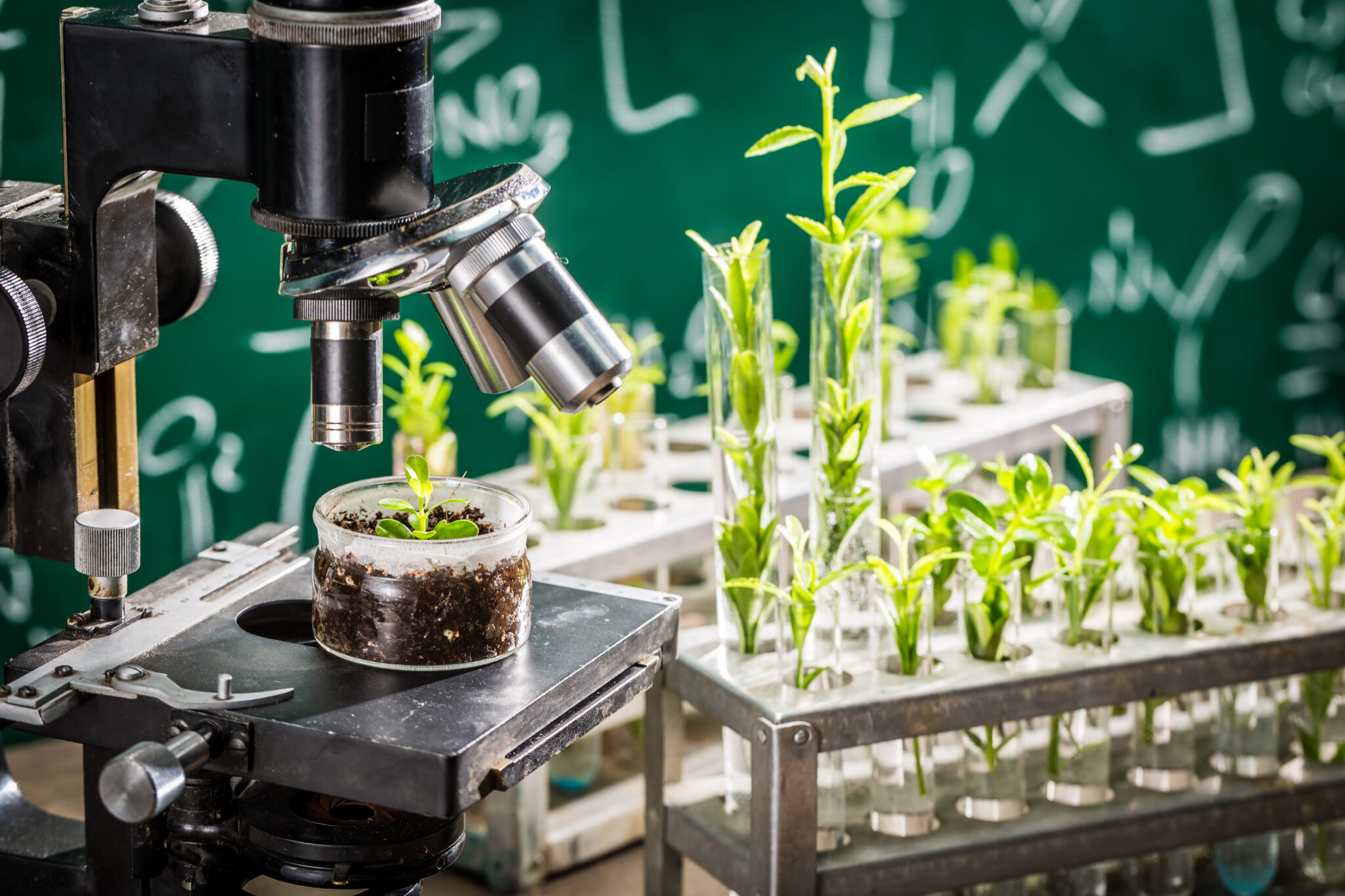 B.Tech Biotechnology: Syllabus, Fees, Eligibility, Scope- MU